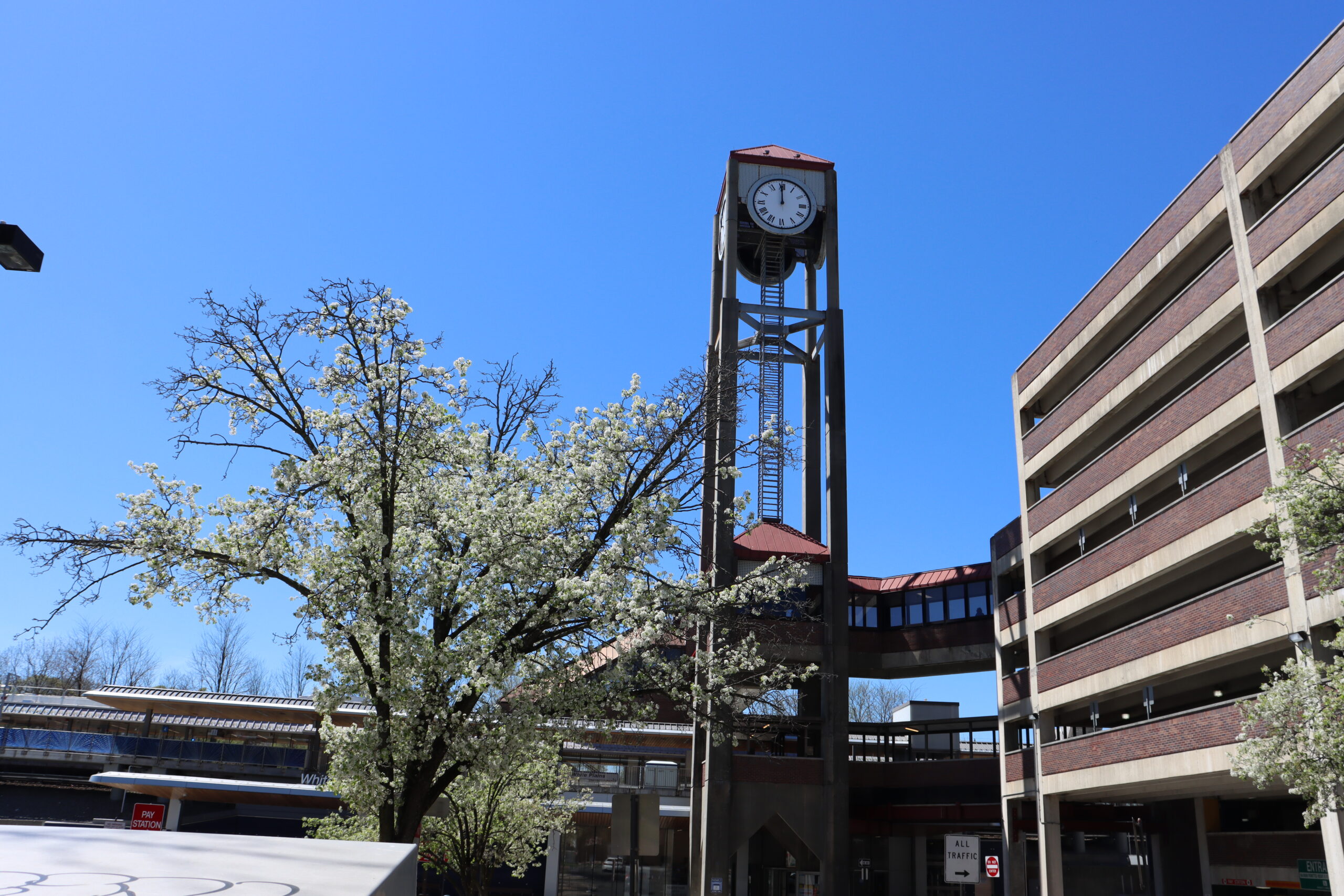 White Plains Downtown Revitalization Initiative – Downtown ...