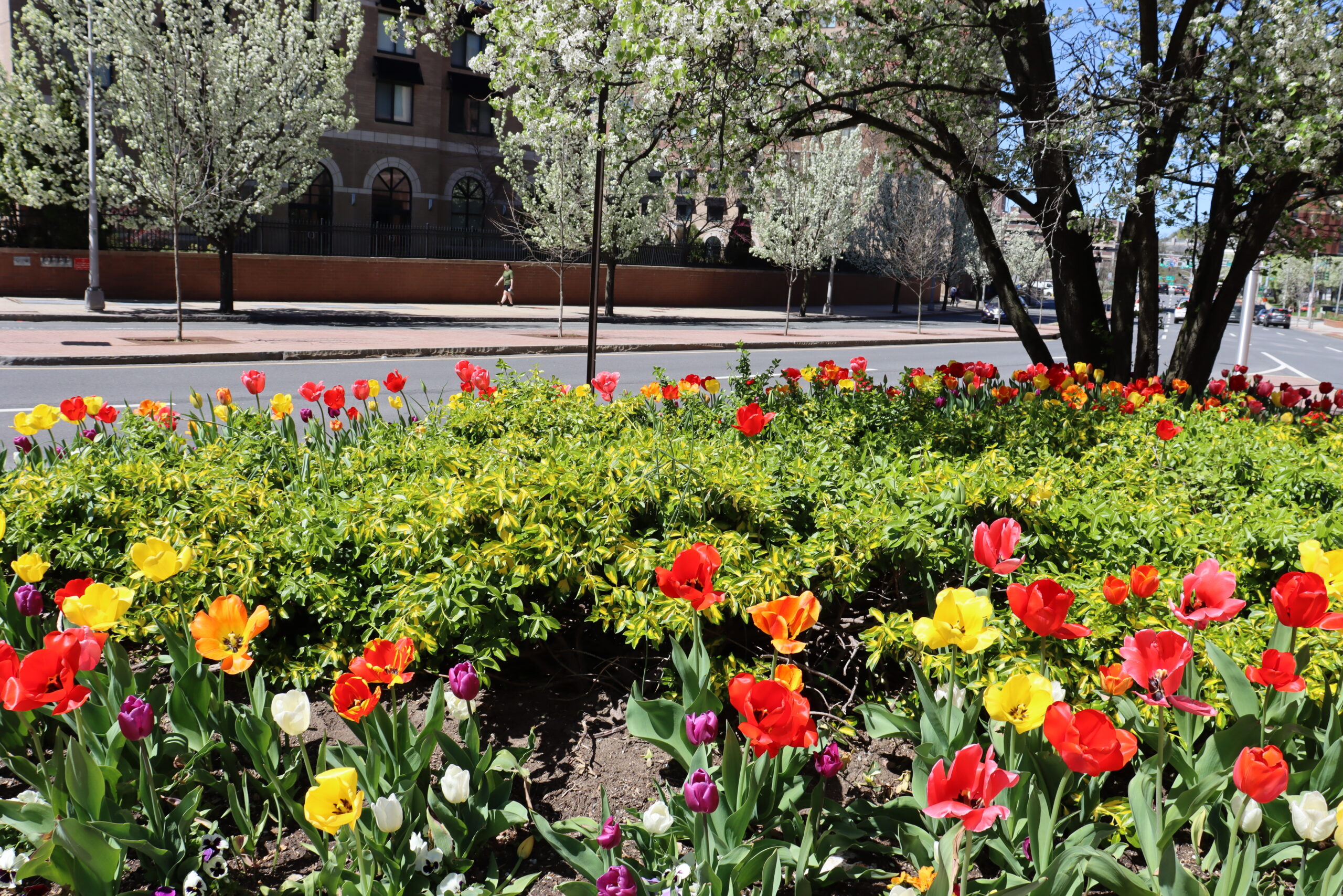White Plains Downtown Revitalization Initiative – Downtown ...